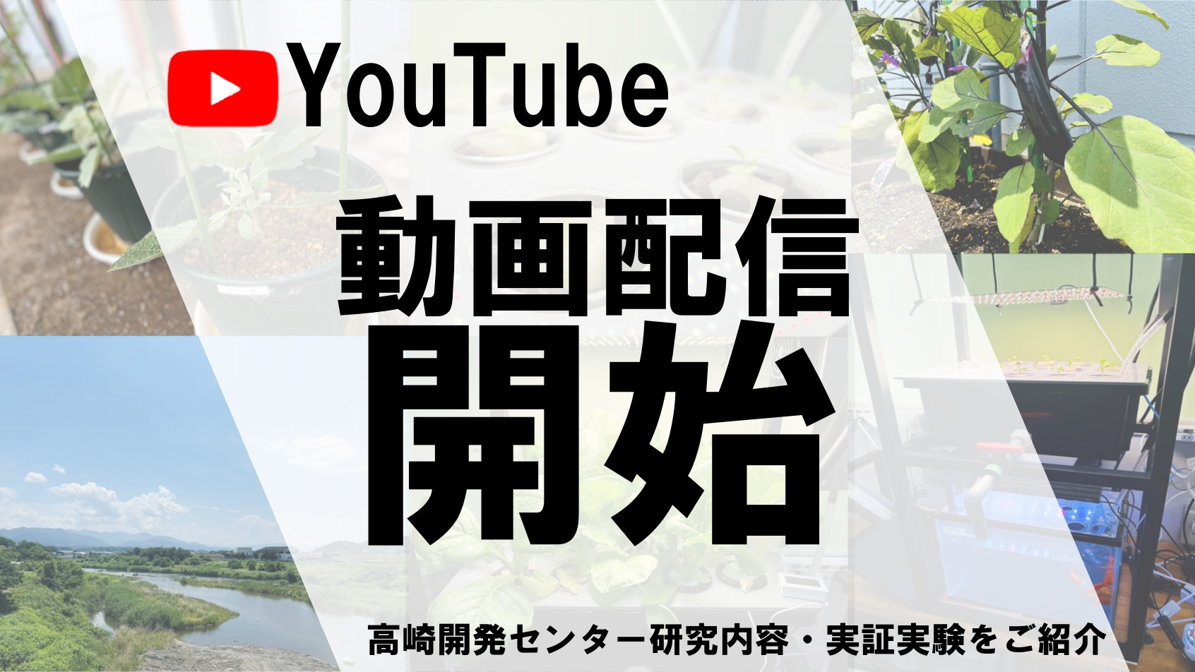 【お知らせ】動画定期配信 開始（YouTube） | APSジャパン